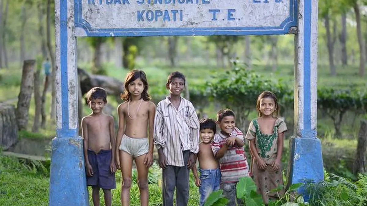 Kopati, Assam: A place that wouldn’t leave - The HinduBusinessLine