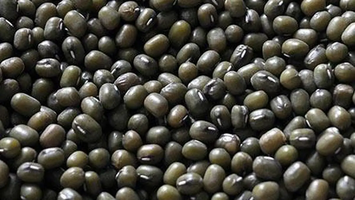 Pulses trade needs regulation, monitoring - The HinduBusinessLine