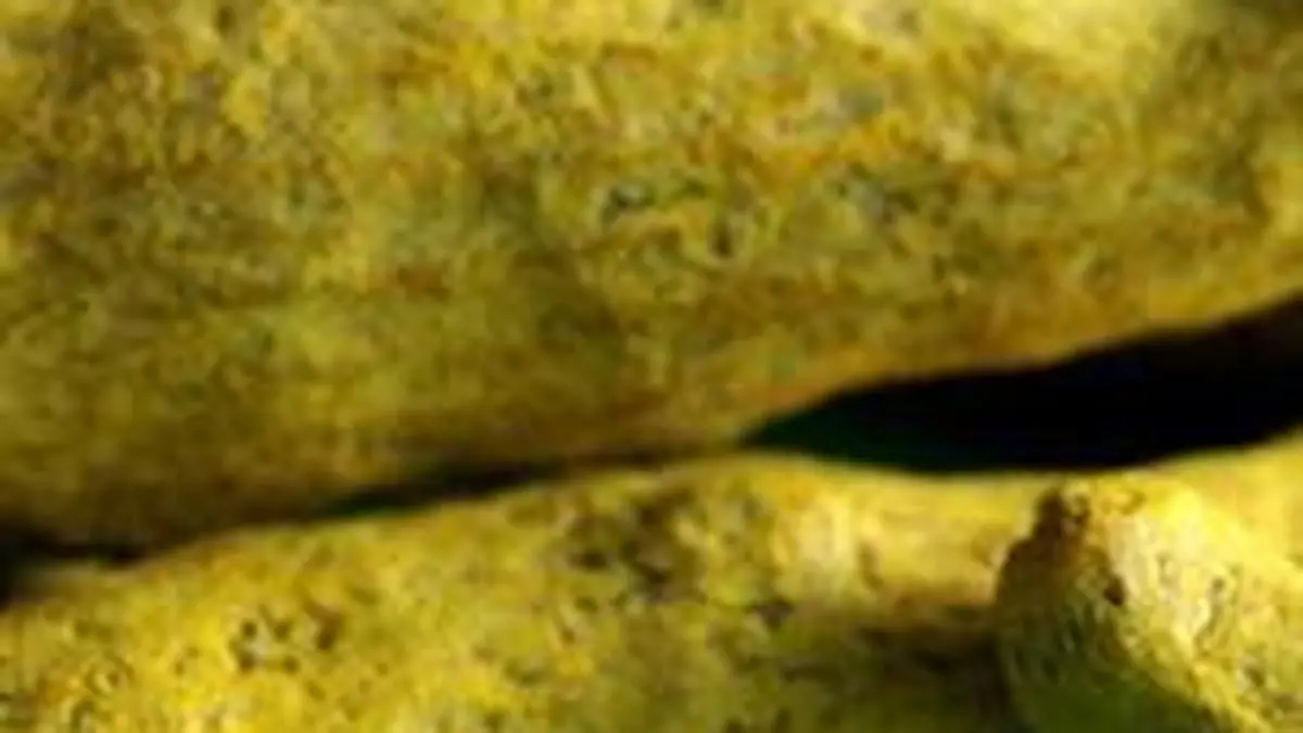 60 per cent of turmeric sold - The HinduBusinessLine