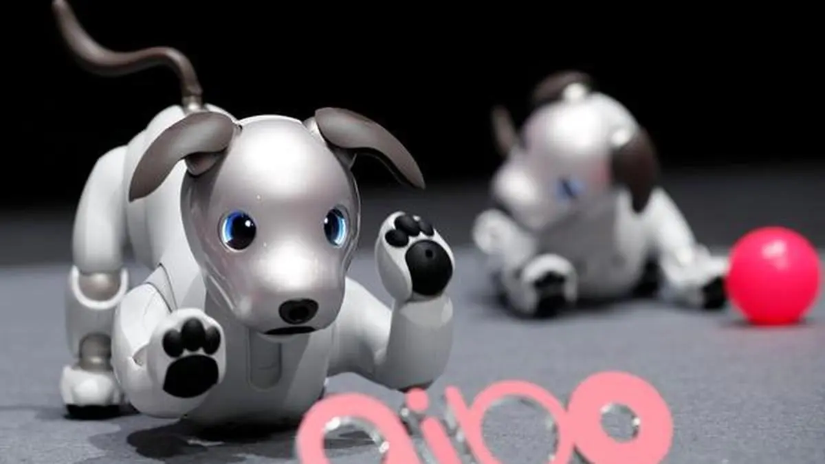 Sony revives pet AI project with updated AIBO robot dog - The Hindu ...