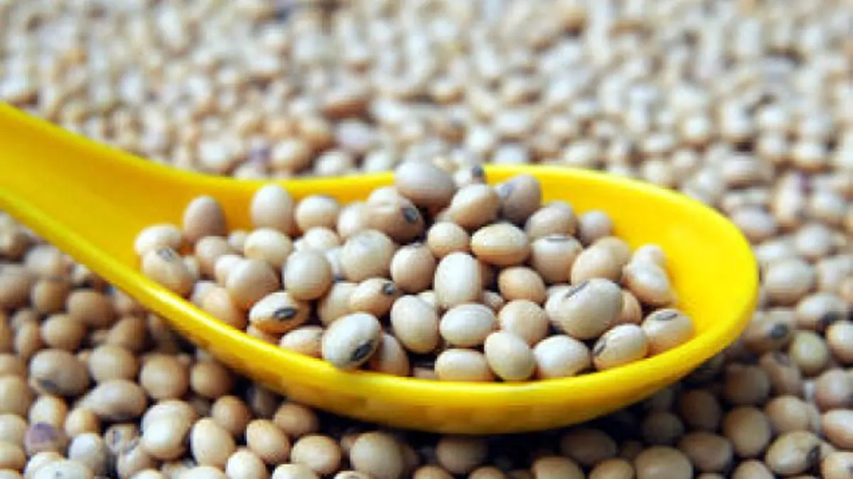 SOPA bats for creation of Oilseeds Development Fund to give boost to ...