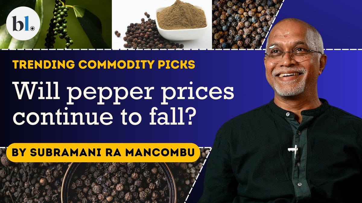 India’s pepper market explained: Imports, prices & farmer impact - The ...