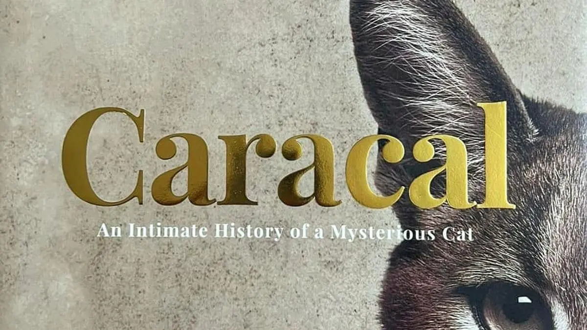 Book Review: Caracal: An Intimate History of A Mysterious Cat - The ...