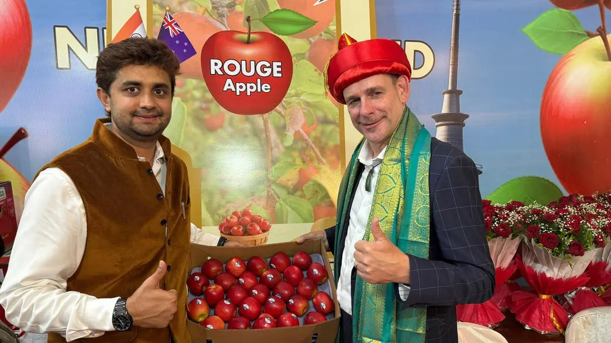 New Zealand’s premium Rouge apple debuts in Indian market at APMC Vashi ...