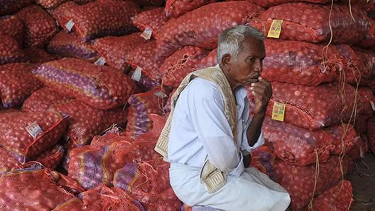 Farmers should be central to policy on onions - The Hindu BusinessLine