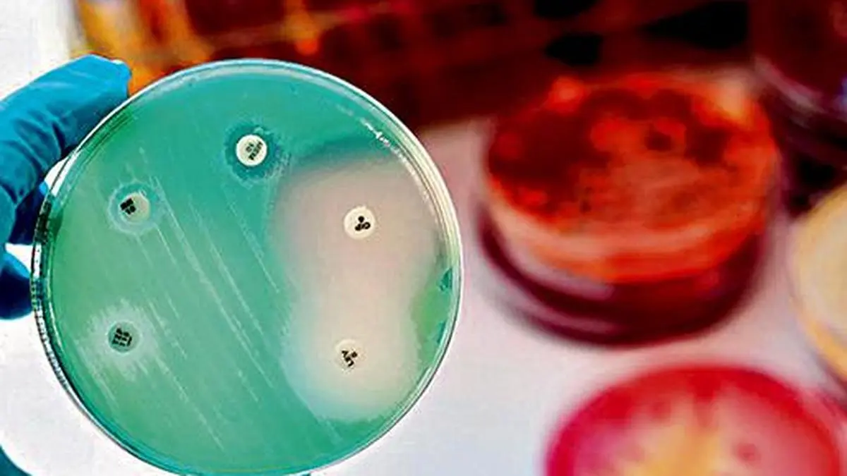 AMR mitigation must top pharma industry’s agenda - The HinduBusinessLine