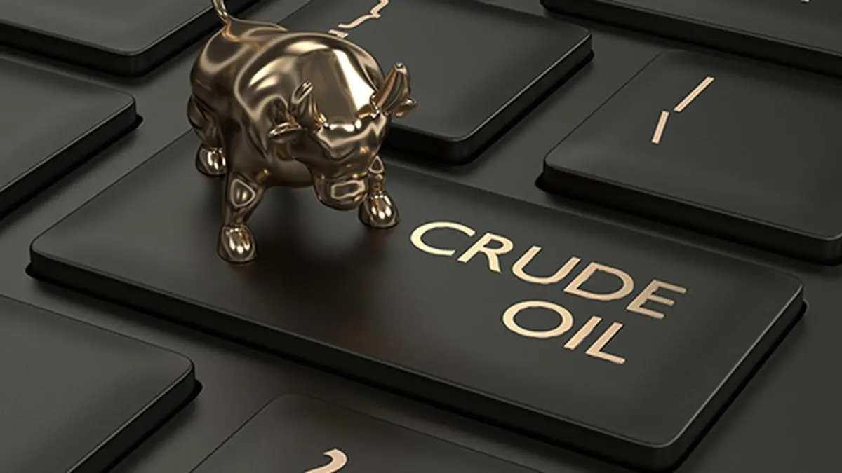 Why crude oil bulls are in the driver’s seat - The HinduBusinessLine