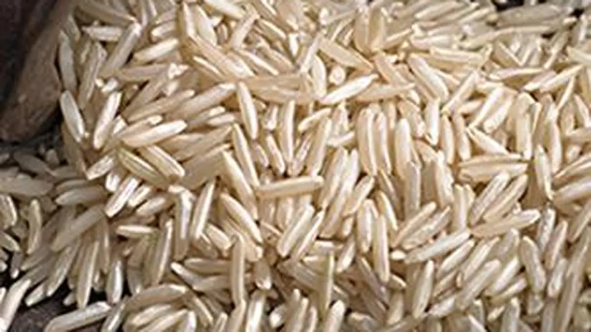 ‘MEP imposed on Basmati to curb illegal export of white rice’ - The HinduBusinessLine