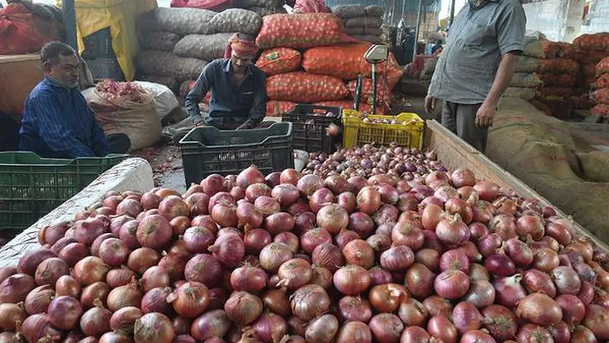 Maharashtra farmers mull ending onion cultivation - The Hindu BusinessLine