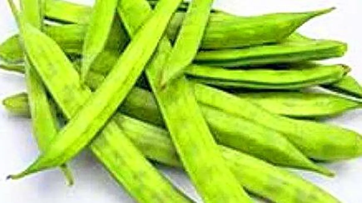 Guar seed: Open fresh short positions - The HinduBusinessLine