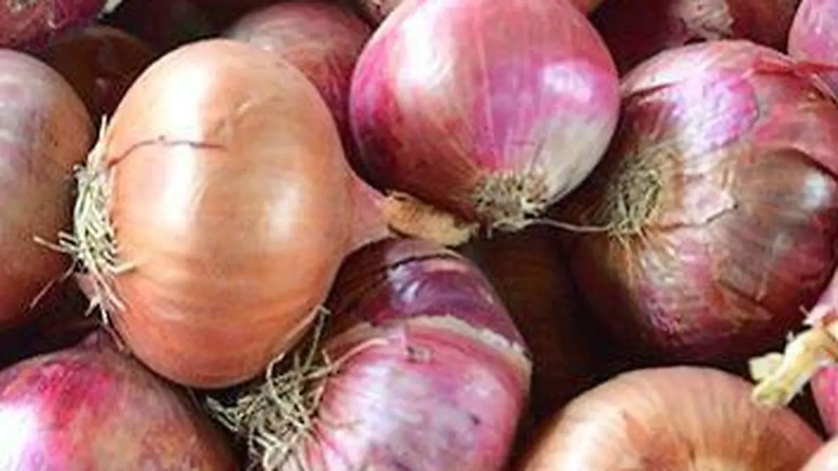 India permitting onion exports to Bahrain, Mauritius upsetting major ...