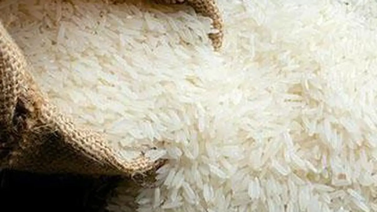 India lifts all curbs on rice exports, scraps 10% export duty on parboiled rice, $490 floor ...