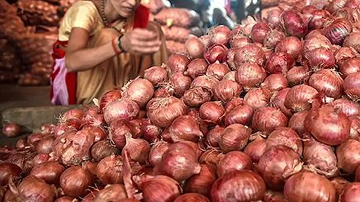 Nashik onion traders strike continues - The Hindu BusinessLine