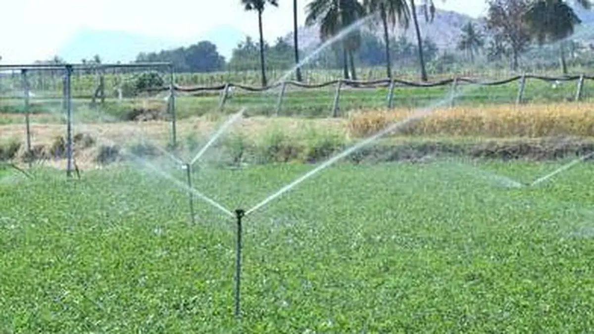 Over 83 lakh hectares brought under micro-irrigation since FY16 - The ...