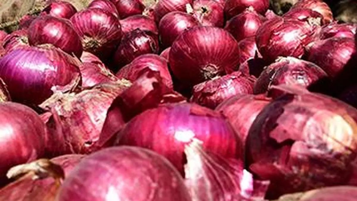 Centre to allot ₹50 cr to create onion storage facilities in Maharashtra - The HinduBusinessLine
