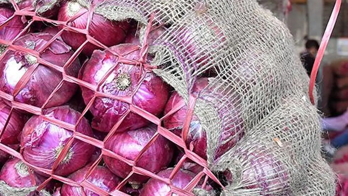 Govt bans onion exports till March 31 2024 - The Hindu BusinessLine