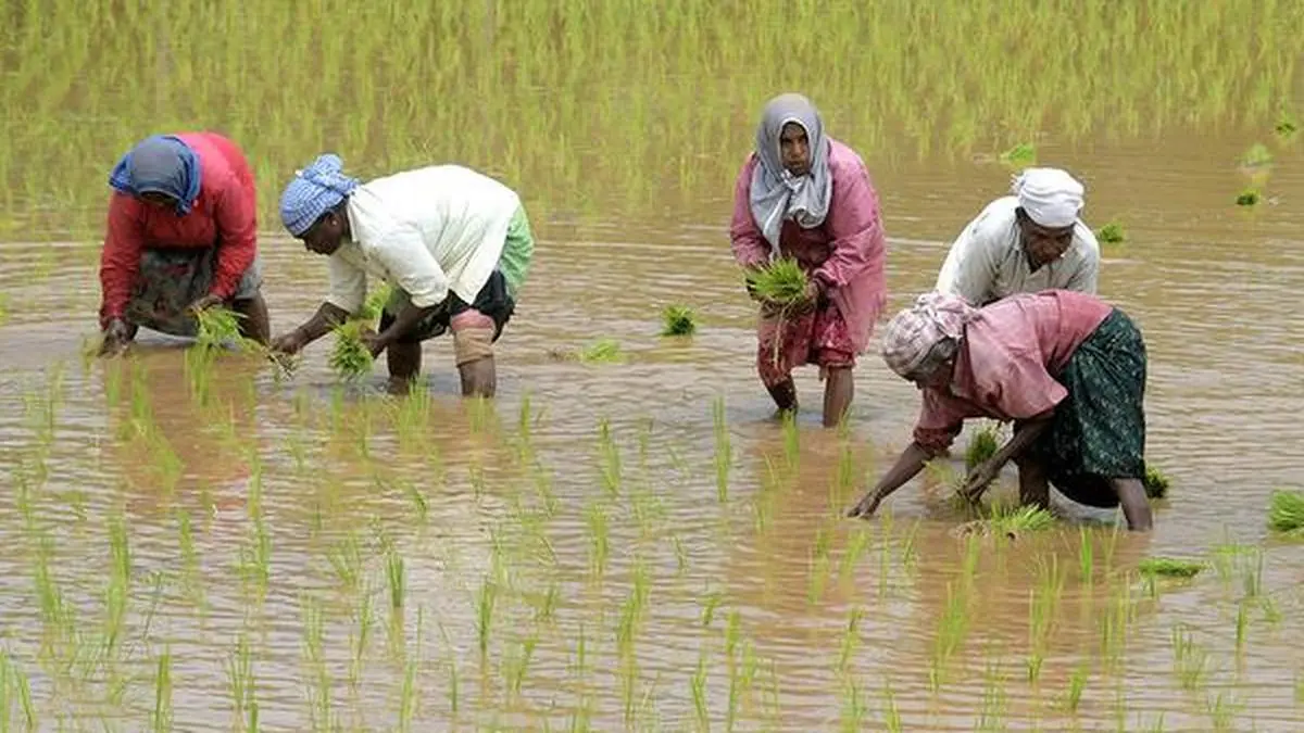 Monsoon set to revive in States which are key to kharif production ...