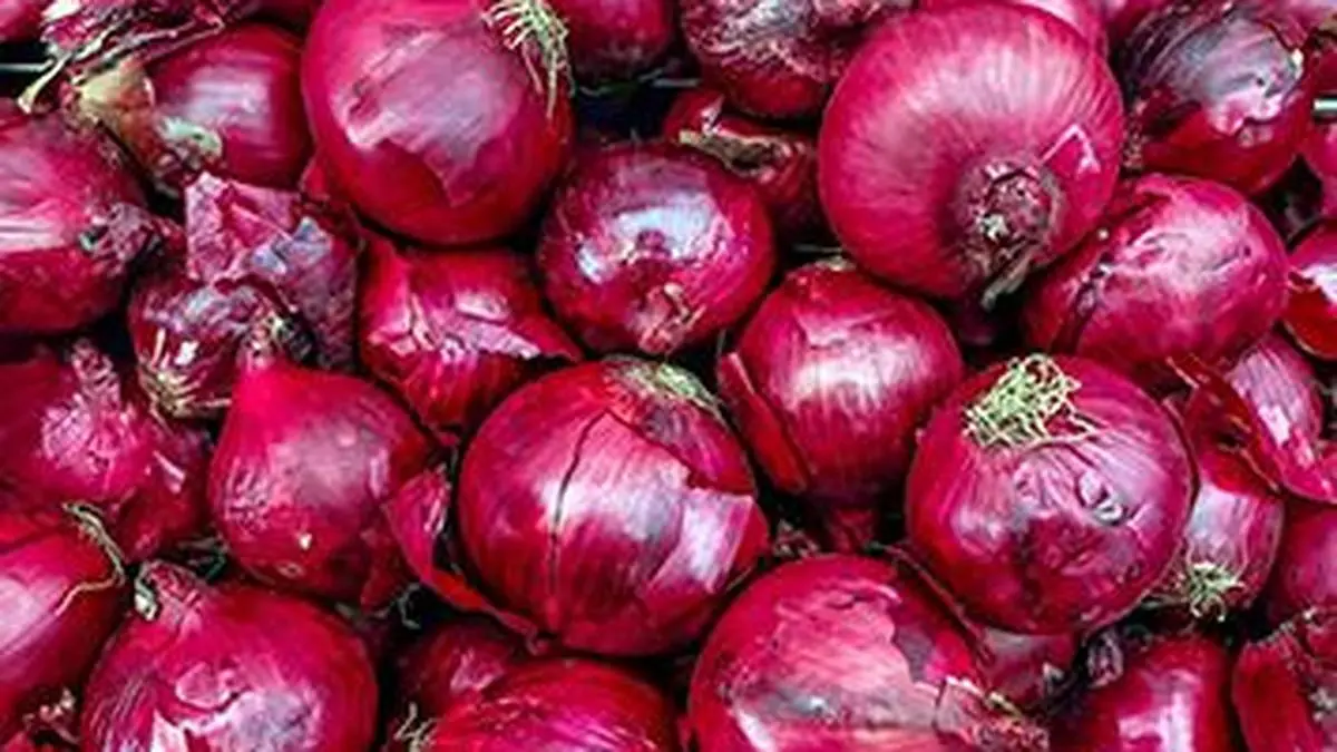 Nashik onion traders withdraw strike, farmers question motive behind the strike - The Hindu ...